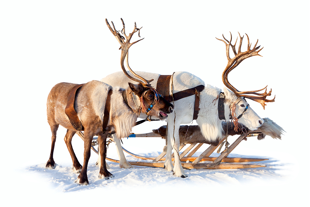 Historia de los Sami: pueblo indígena de Noruega y su legado ancestral